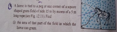 A horse is tied to a peg at one corner of a square shaped grass field ...