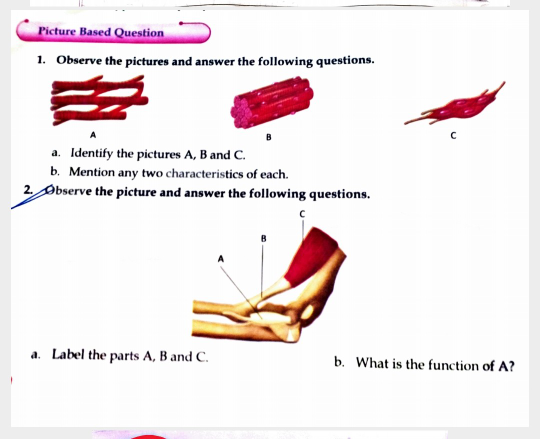 Picture Based Question1. Observe the pictures and answer the following ...