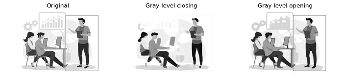 Morphological Gray Level Filters in Scikit-Image